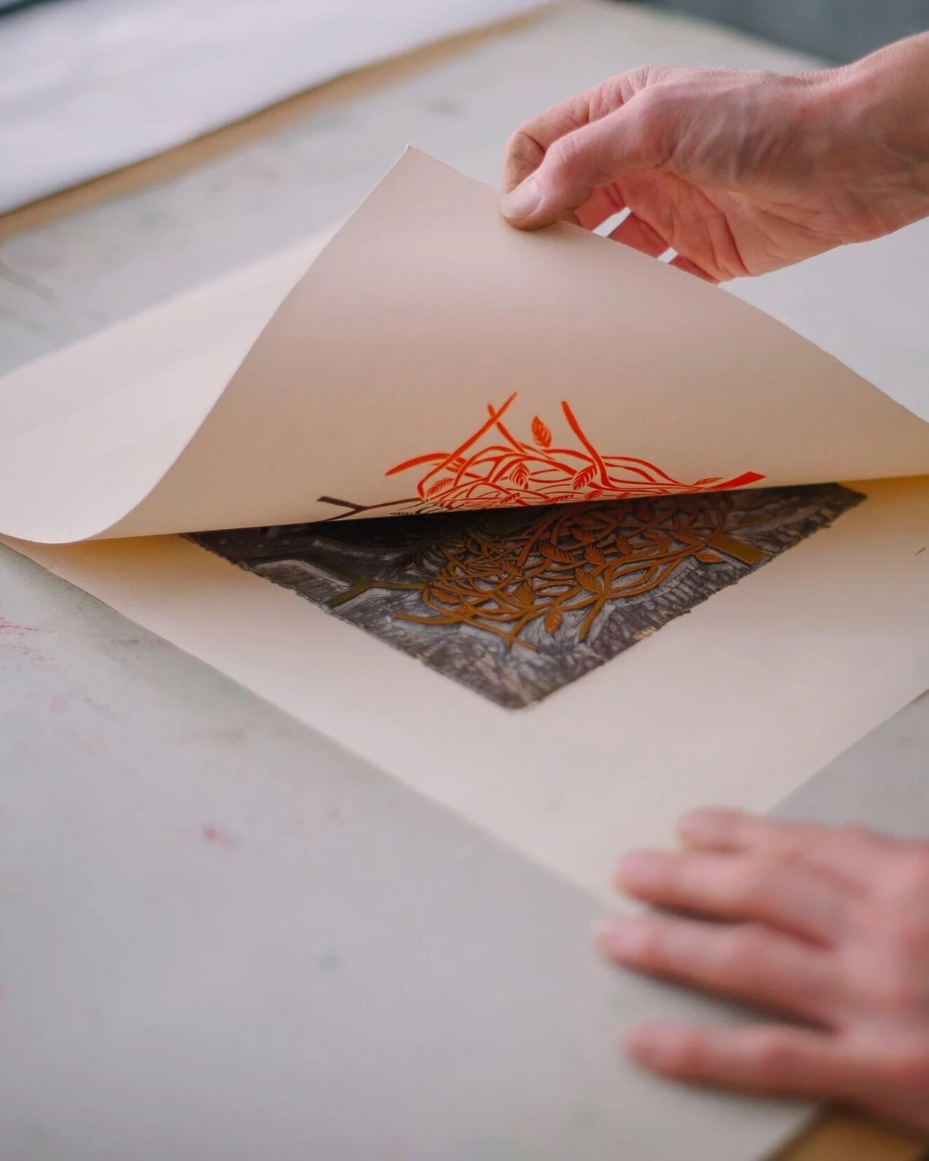 Double Elephant Print Workshop