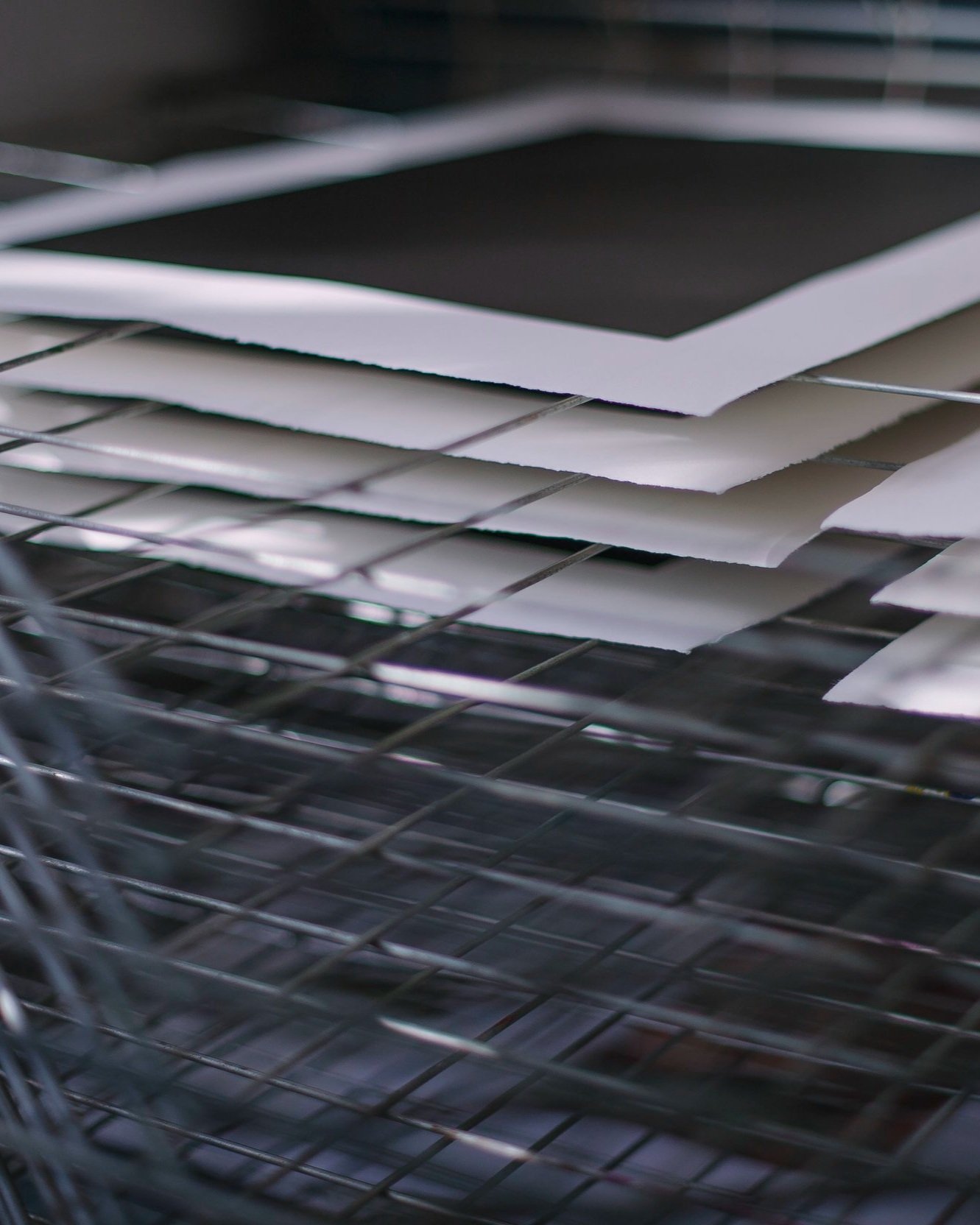 Double Elephant Print Workshop