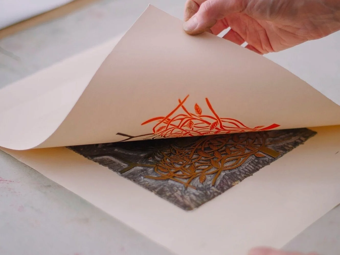 Double Elephant Print Workshop