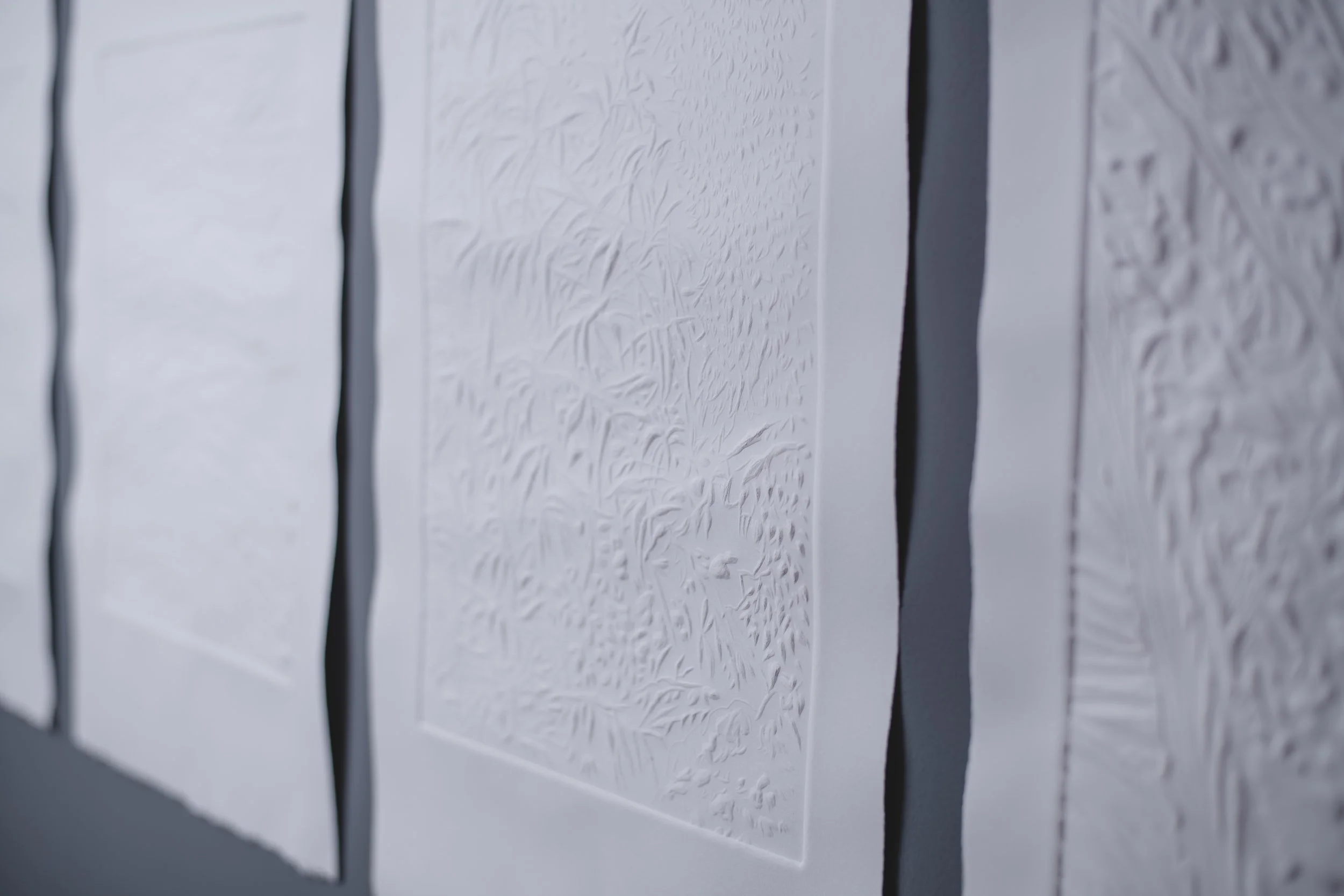 Paper & Print — Double Elephant Print Workshop