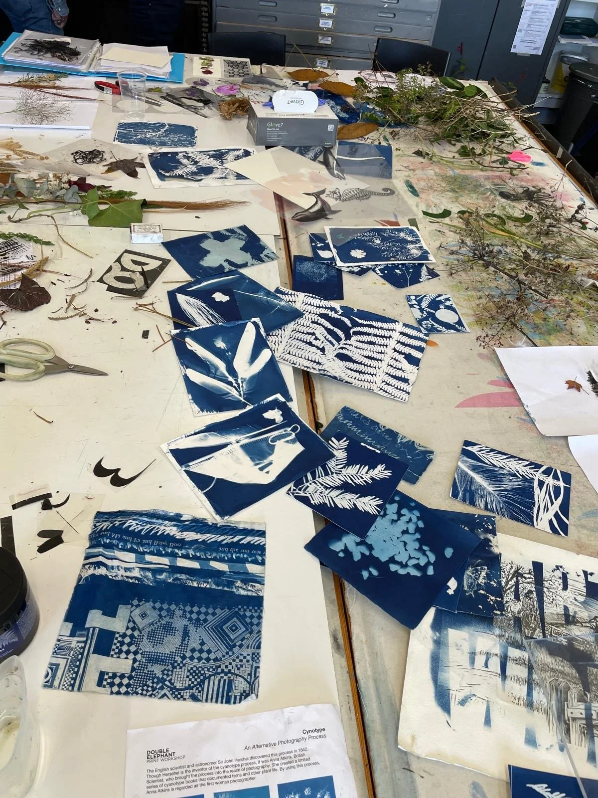 Cyanotype Half Day: Saturday 7th February — Double Elephant Print Workshop