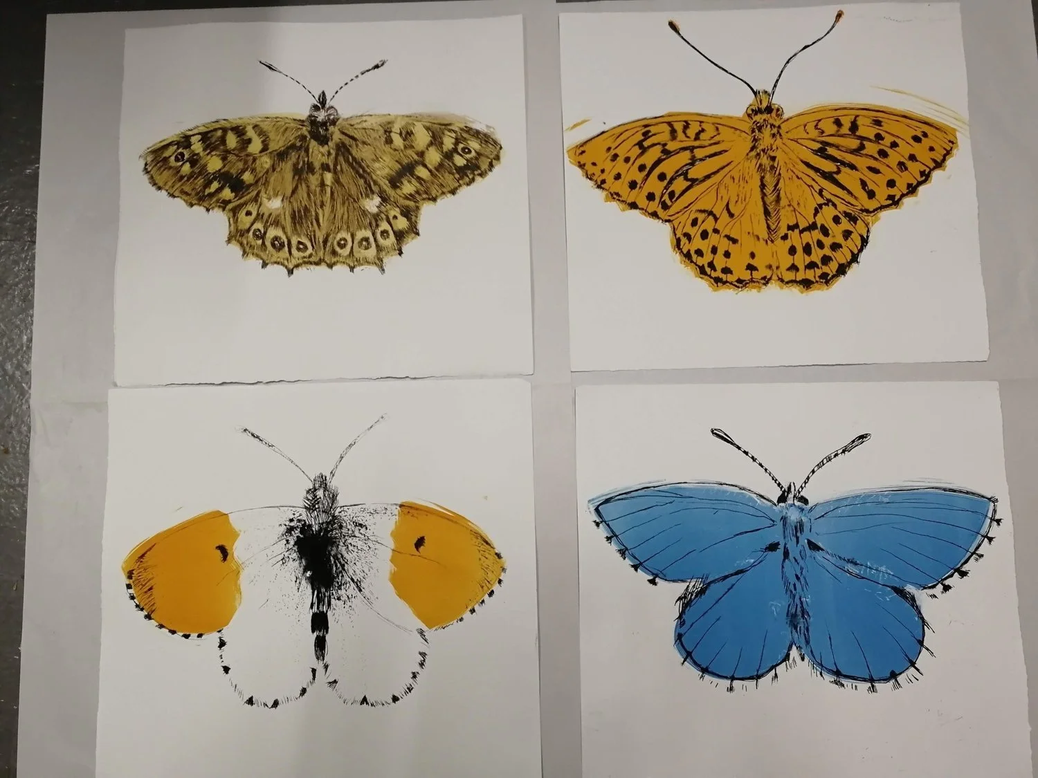 Rebecca Child — Double Elephant Print Workshop