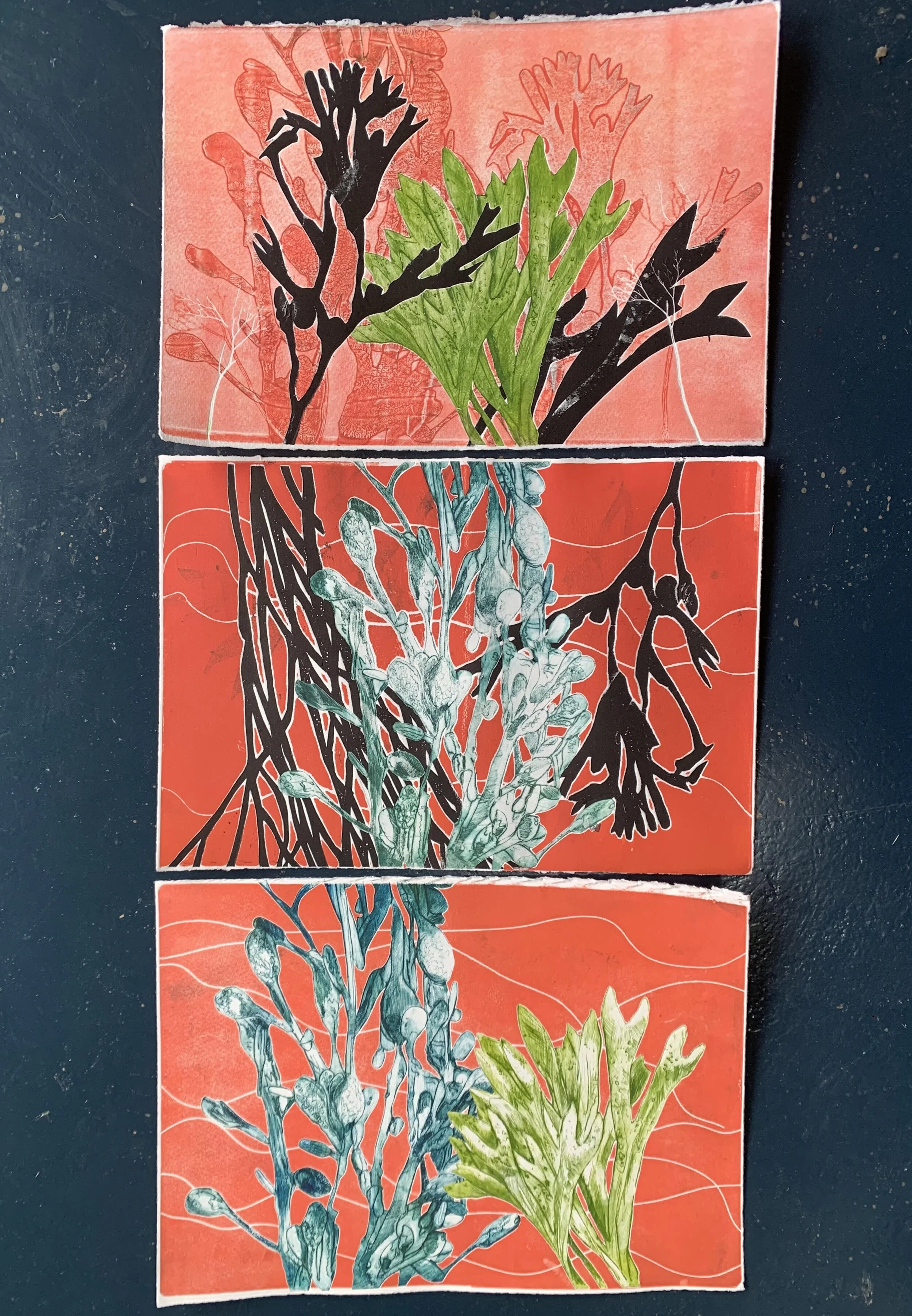 Sarah Furby — Double Elephant Print Workshop