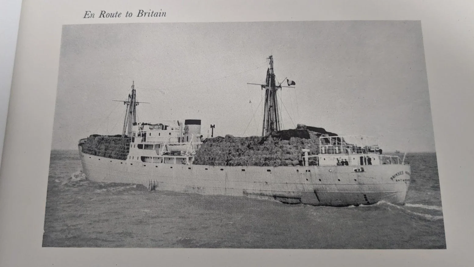 Esparto Paper — Double Elephant Print Workshop