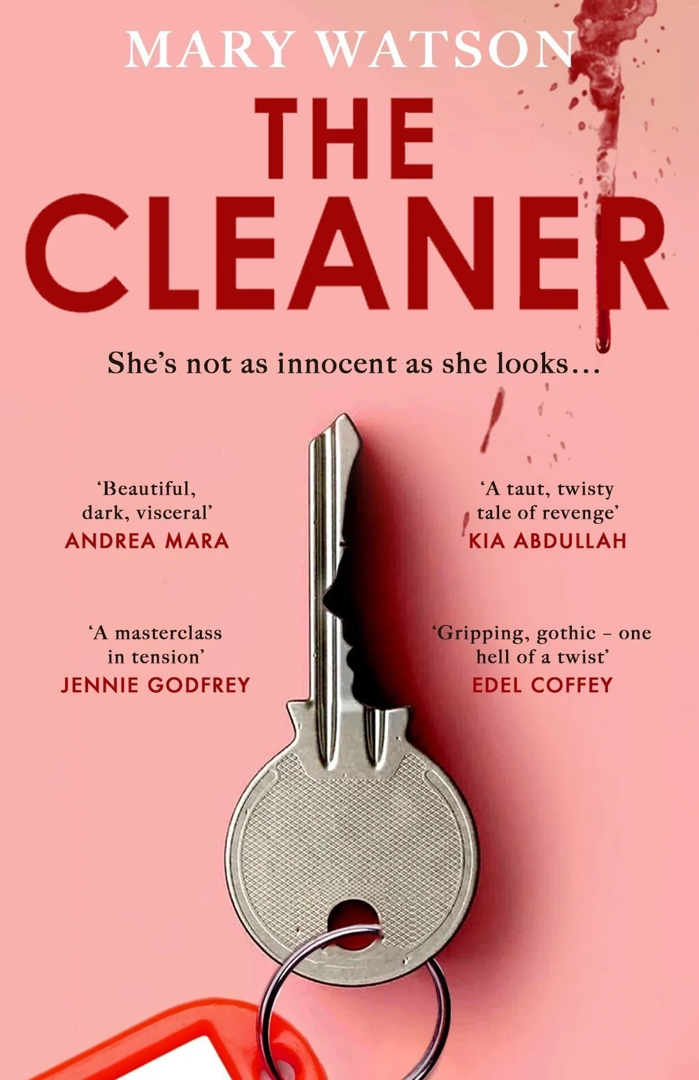 The Cleaner — MARY WATSON