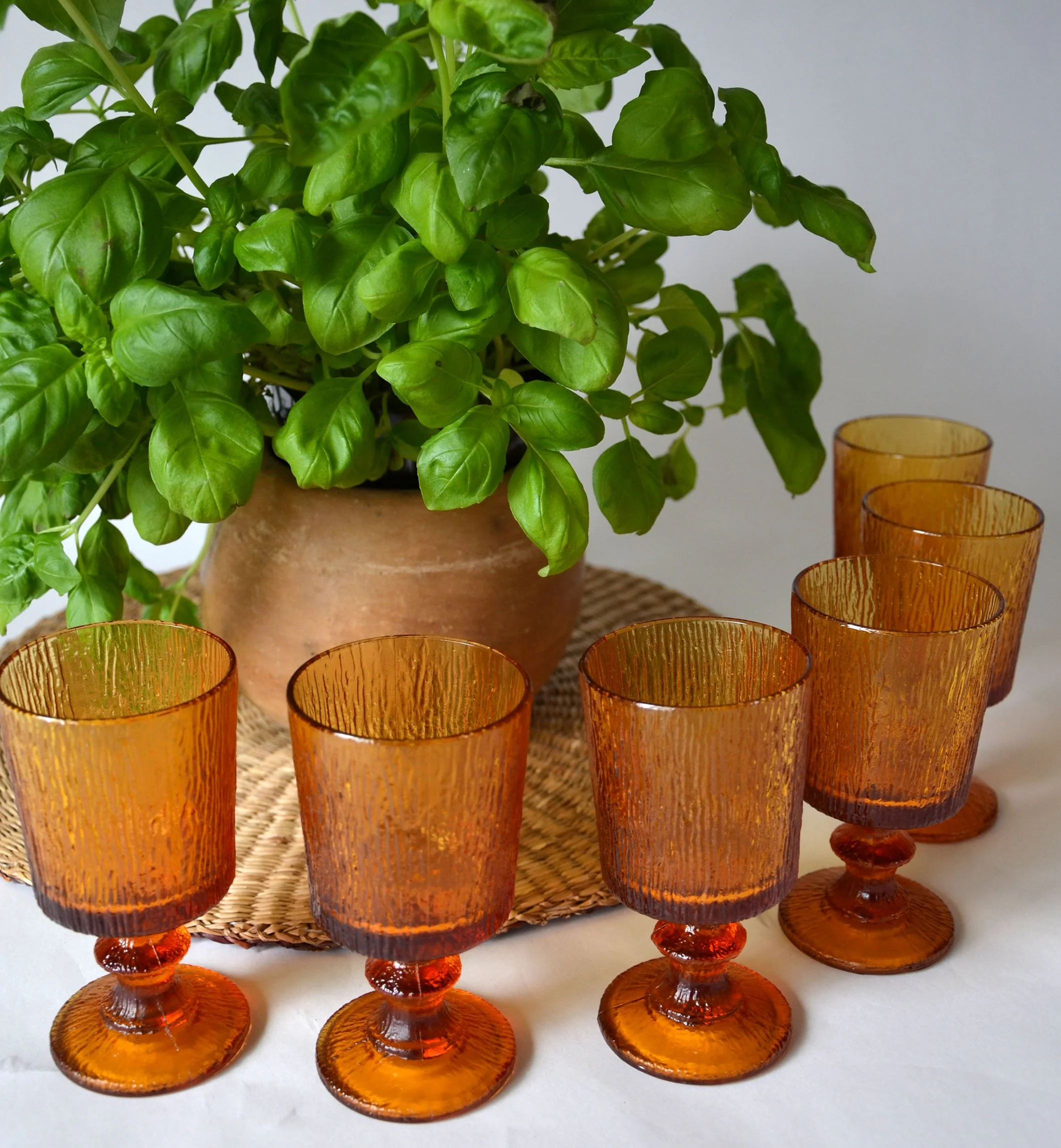 Store 1 — Sofia Design Studio