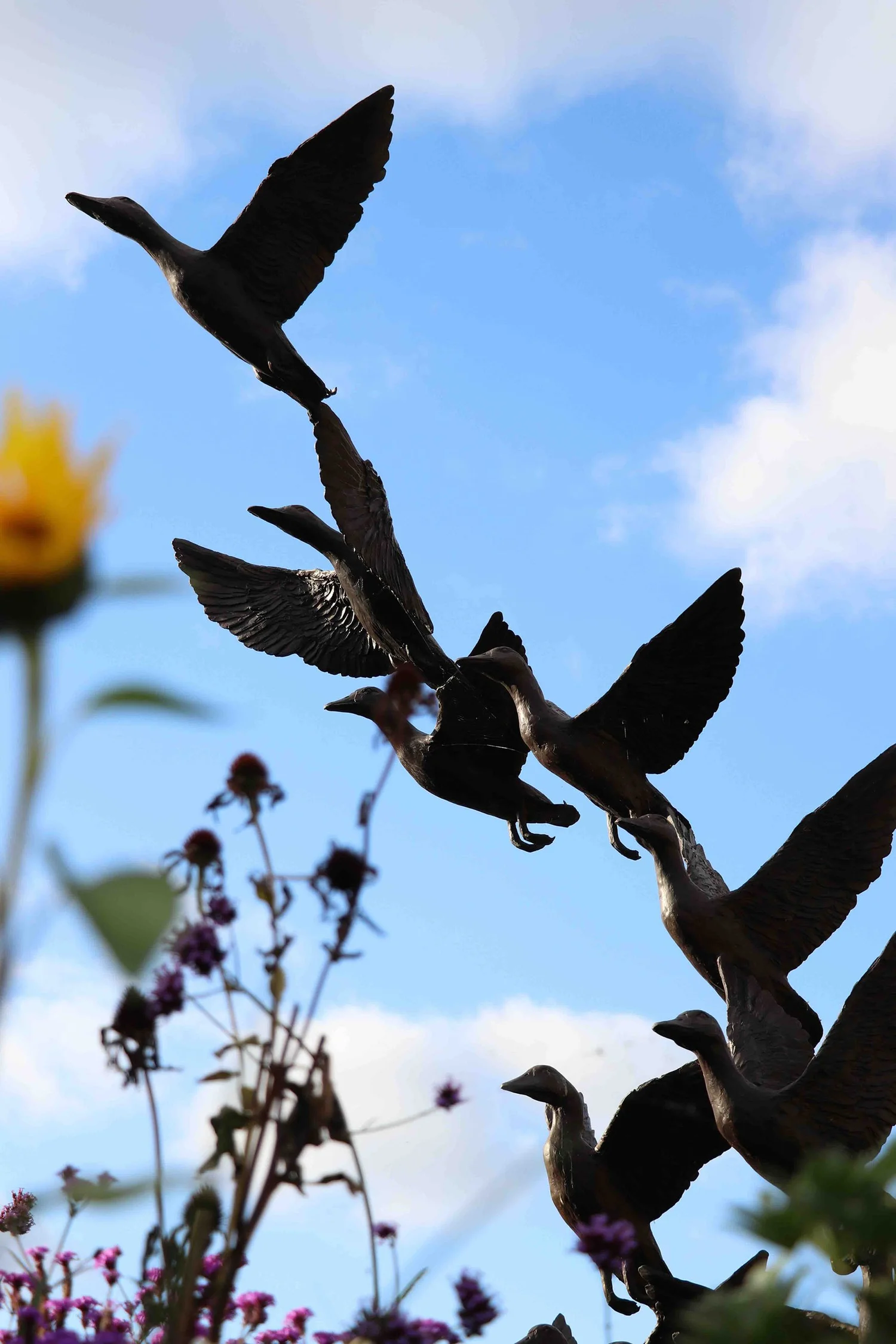 Mallard Ducks Taking Flight - 12 Birds Bronze Sculpture — Le Blanc Fine Art