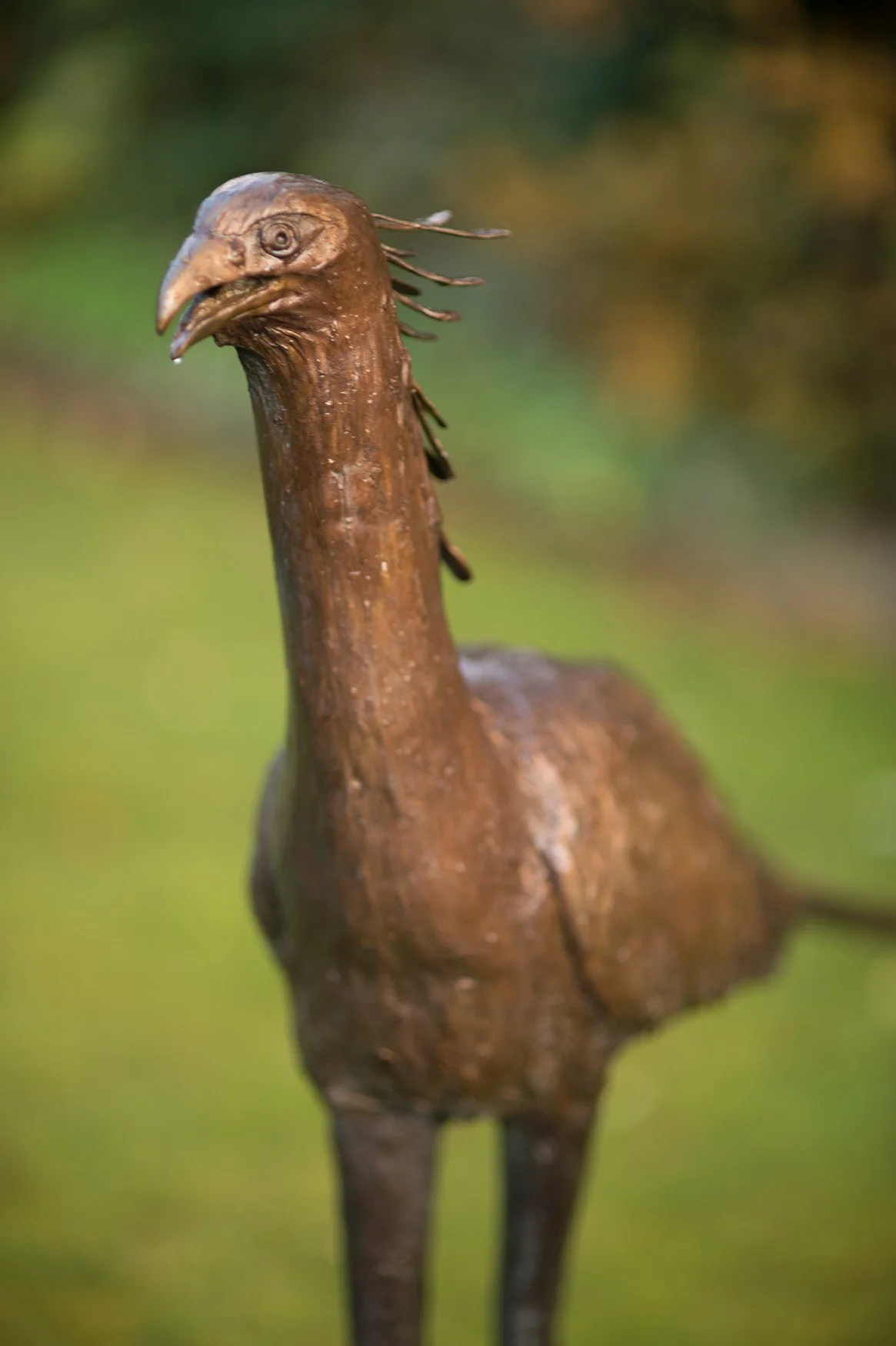Secretarybird Bronze Sculpture — Le Blanc Fine Art