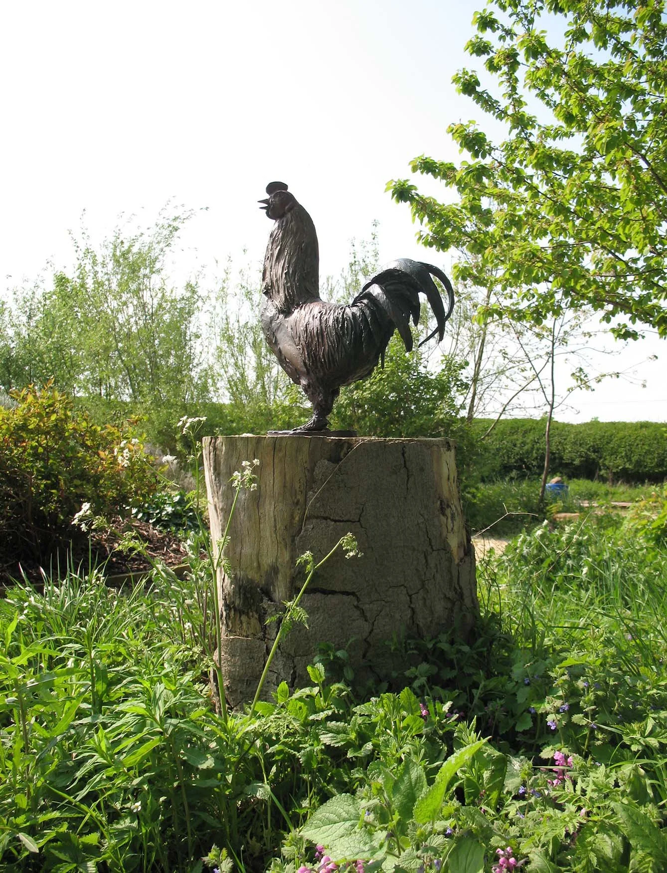 Rooster II Bronze Sculpture — Le Blanc Fine Art