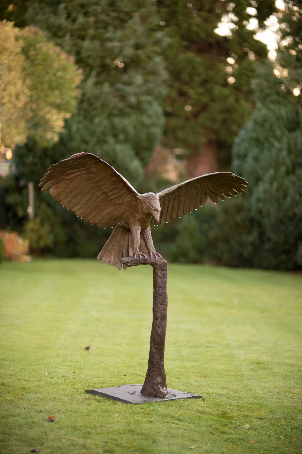 Philippine Eagle Bronze Sculpture — Le Blanc Fine Art