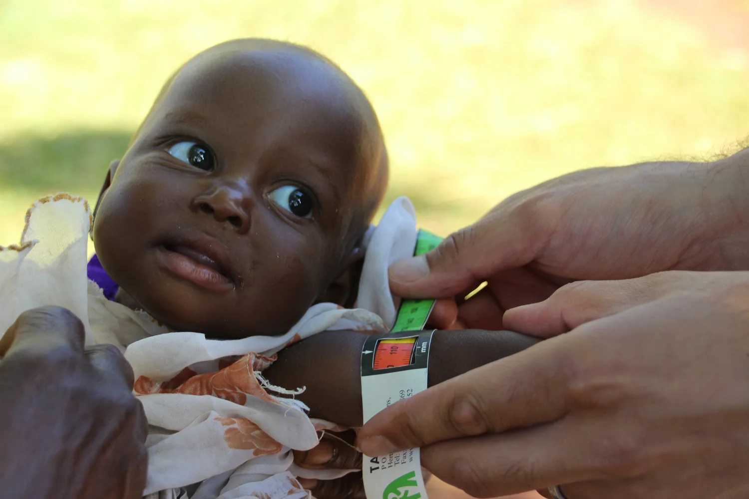 Every Child Fed