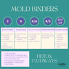 Mold Illness & Mycotoxin Illness - Recover from Mold Illness & Lyme ...