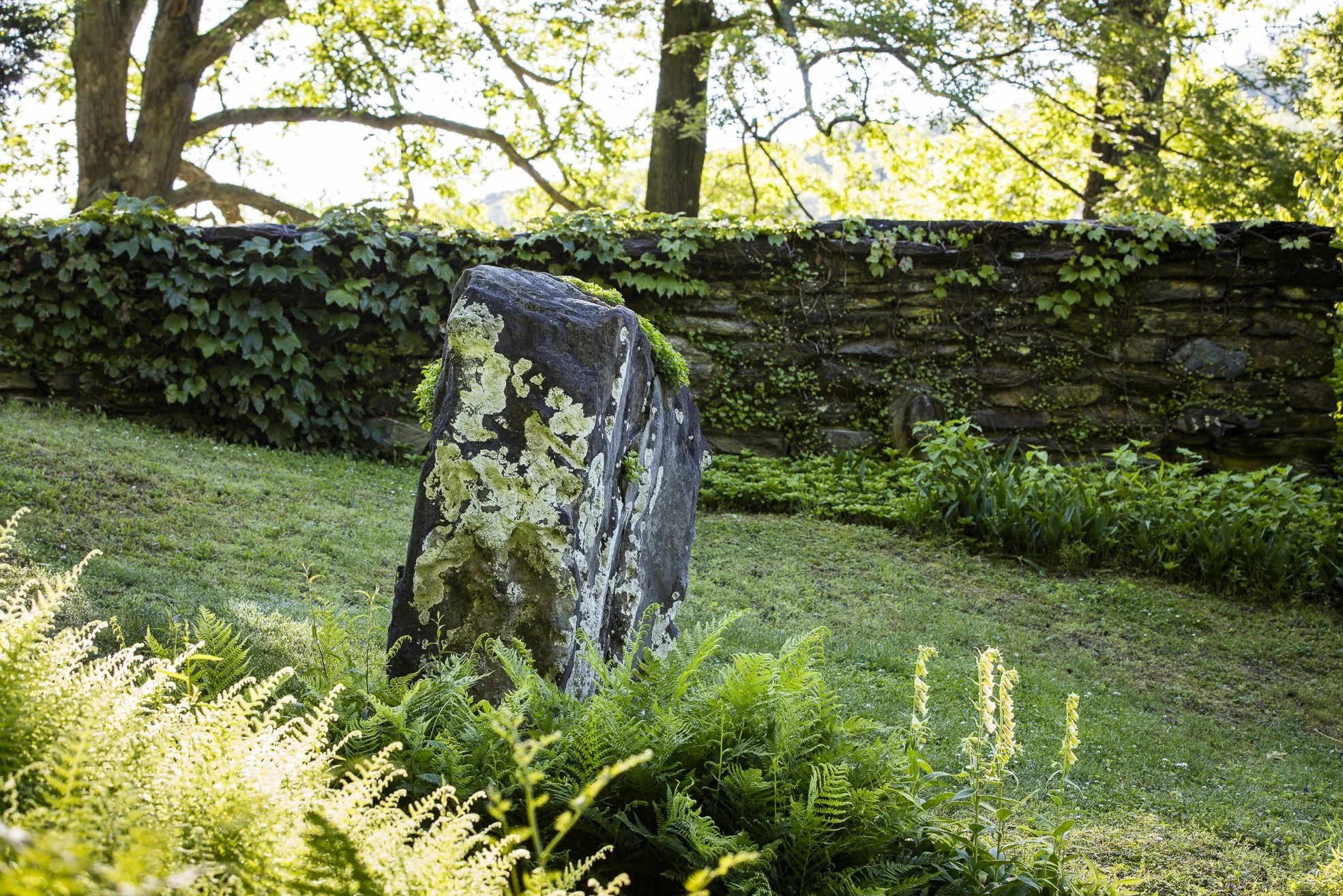 About Innisfree — Innisfree Garden