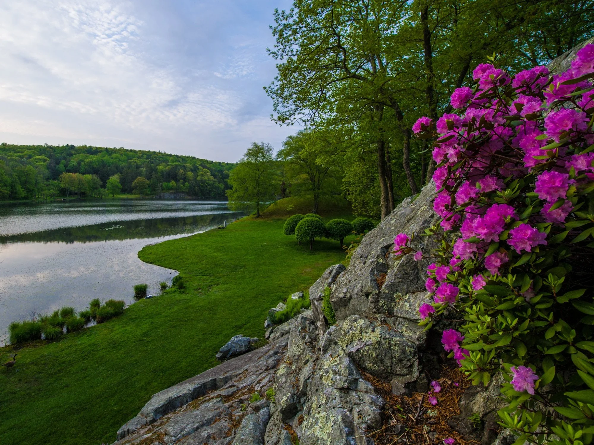 About Innisfree — Innisfree Garden