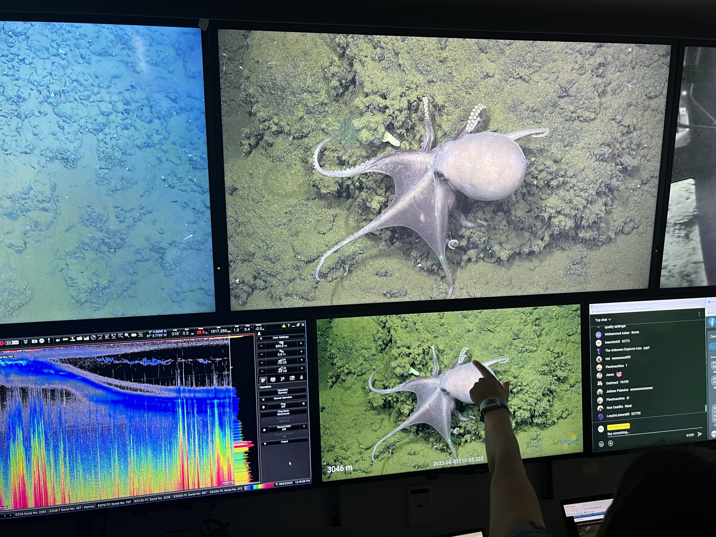Octopus Odyssey — Ramírez Lab