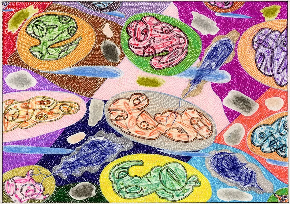 Slideshow — WILL NORTHERNER ART
