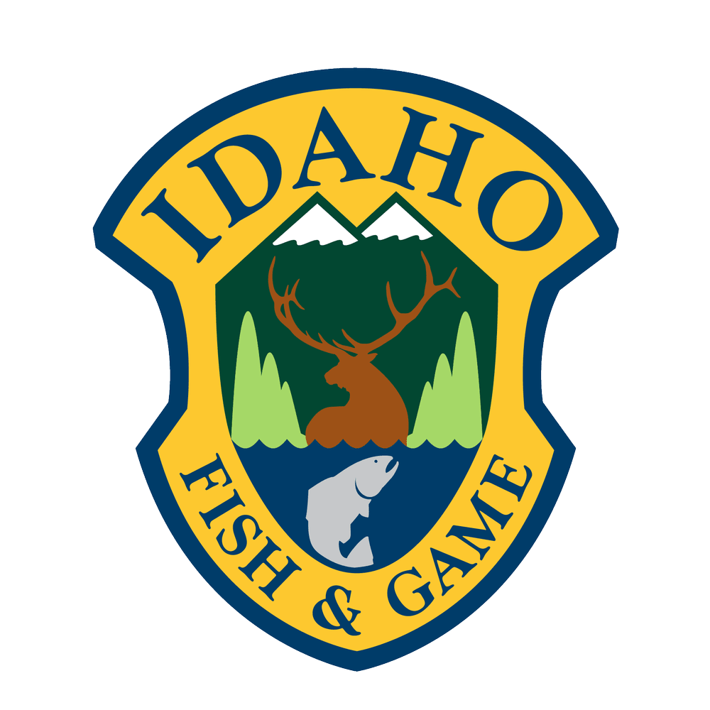 Top 10 Fish to Catch in Idaho — Go Fish Idaho