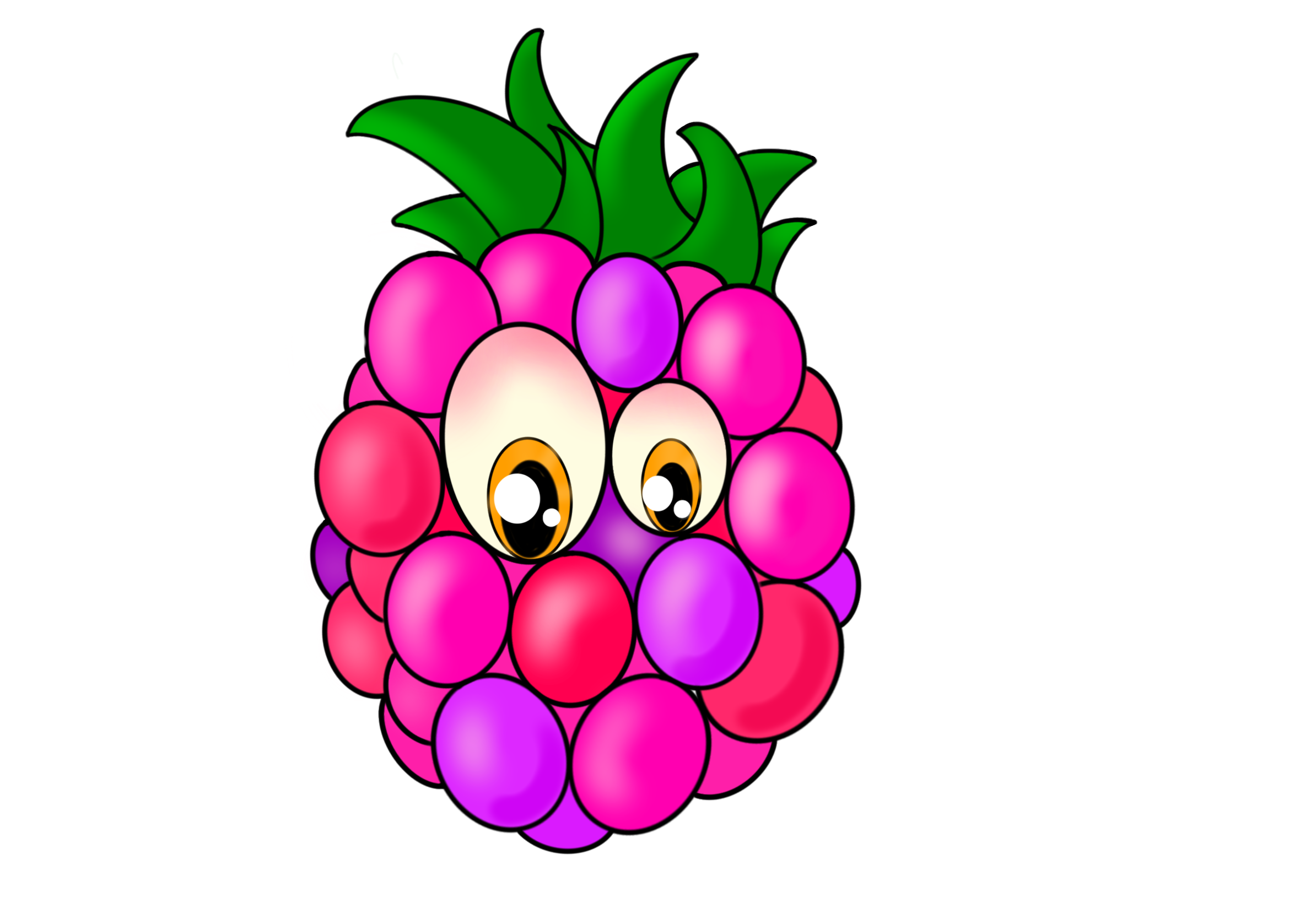 SNOZBERRY - 2000G — Wonky Whip