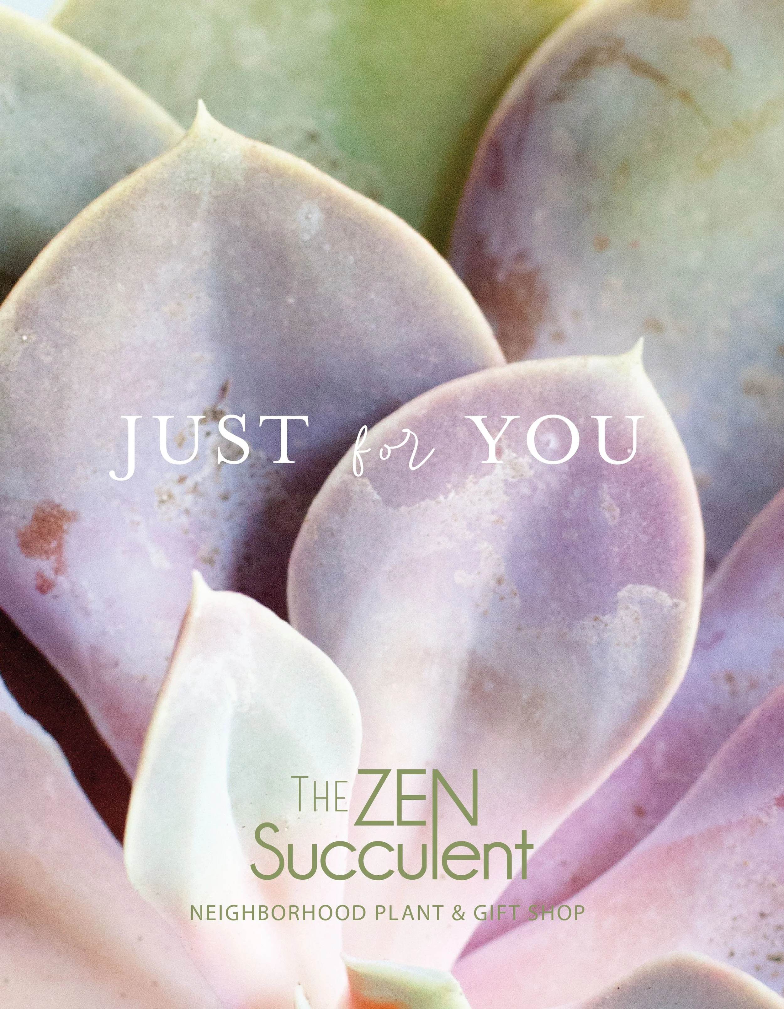 The ZEN Succulent Plant E Gift Card — The Zen Succulent | Low ...