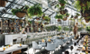 Plant Filled Restaurants — The Zen Succulent | Low Maintenance Greenery ...