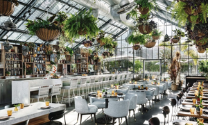 Plant Filled Restaurants — The Zen Succulent | Low Maintenance Greenery ...