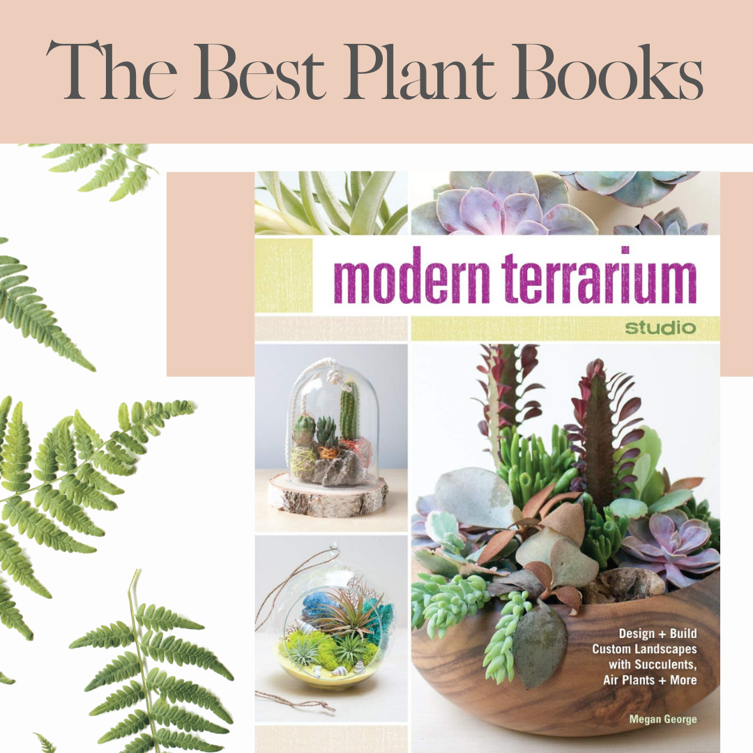 The Best Books About Plants — The Zen Succulent | Low Maintenance ...