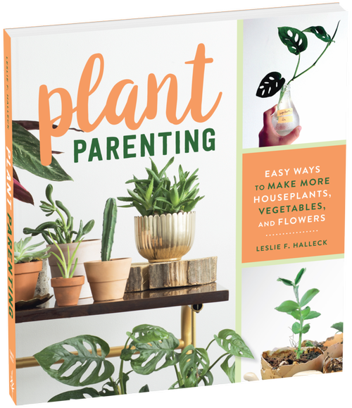 Books We're Loving This Summer — The Zen Succulent | Low Maintenance ...