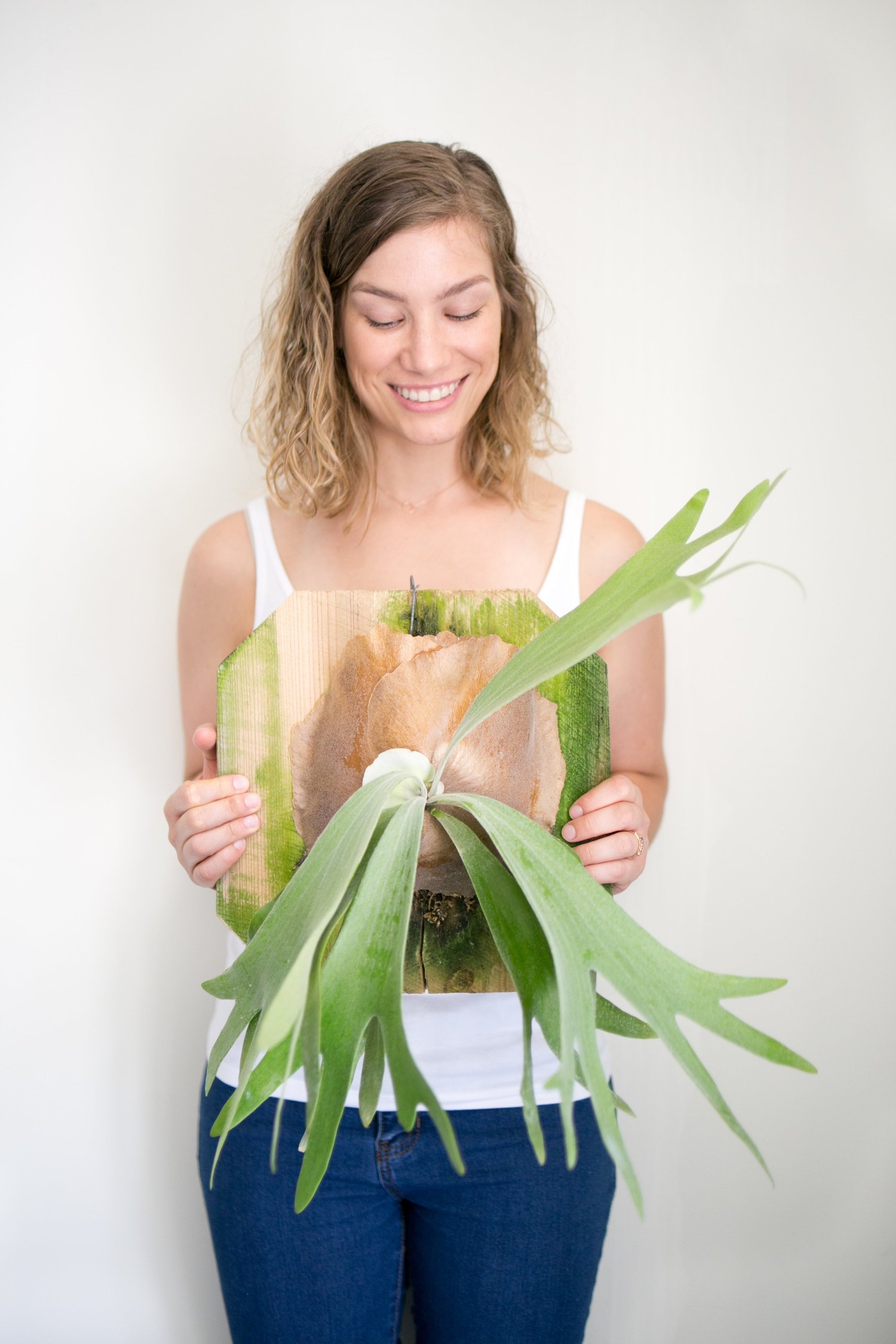 Top 5 Hanging Plants — The Zen Succulent | Low Maintenance Greenery At ...