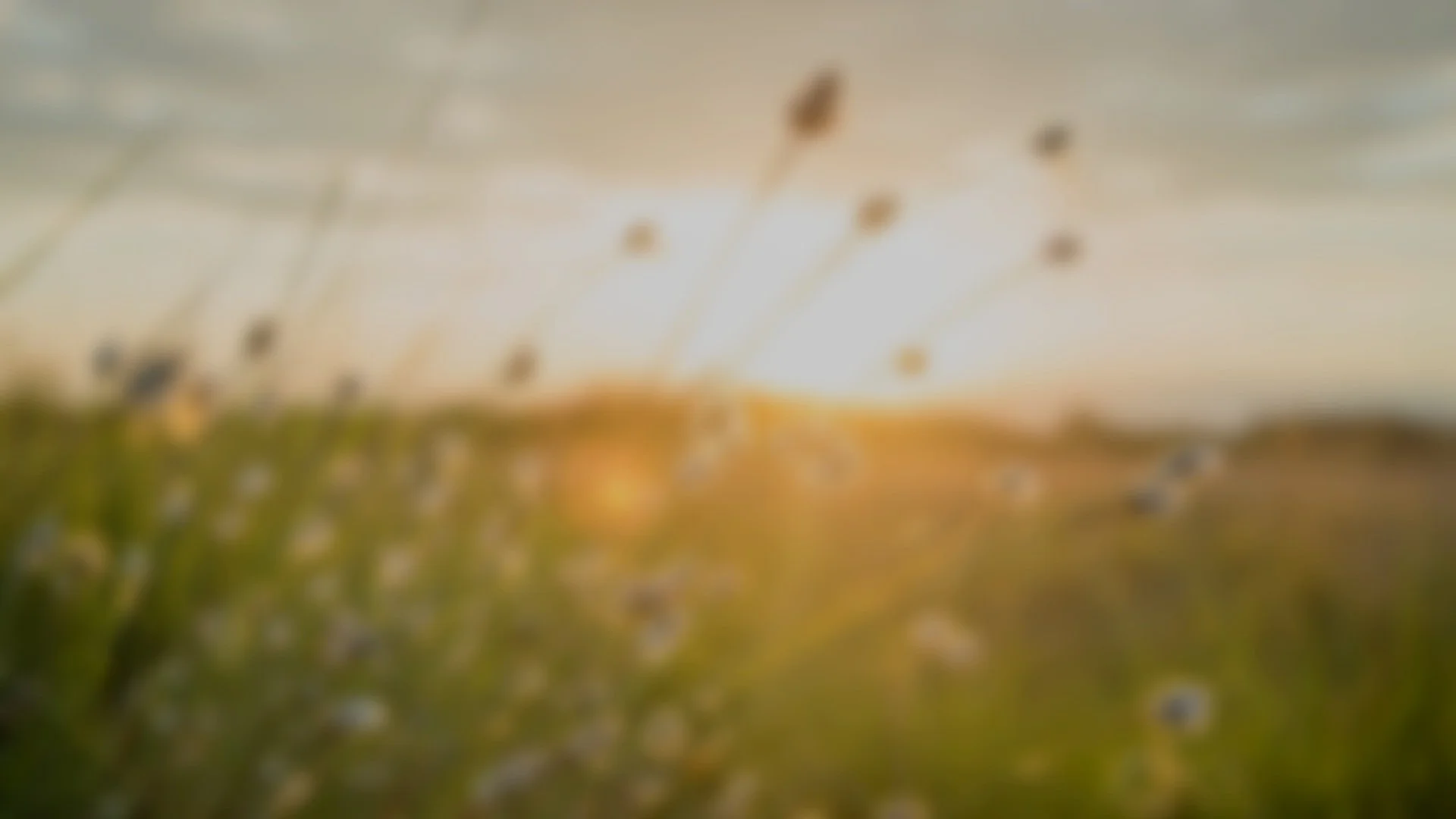 Maximize Your First Headshot Session: Unexpected Tricks from a Pro