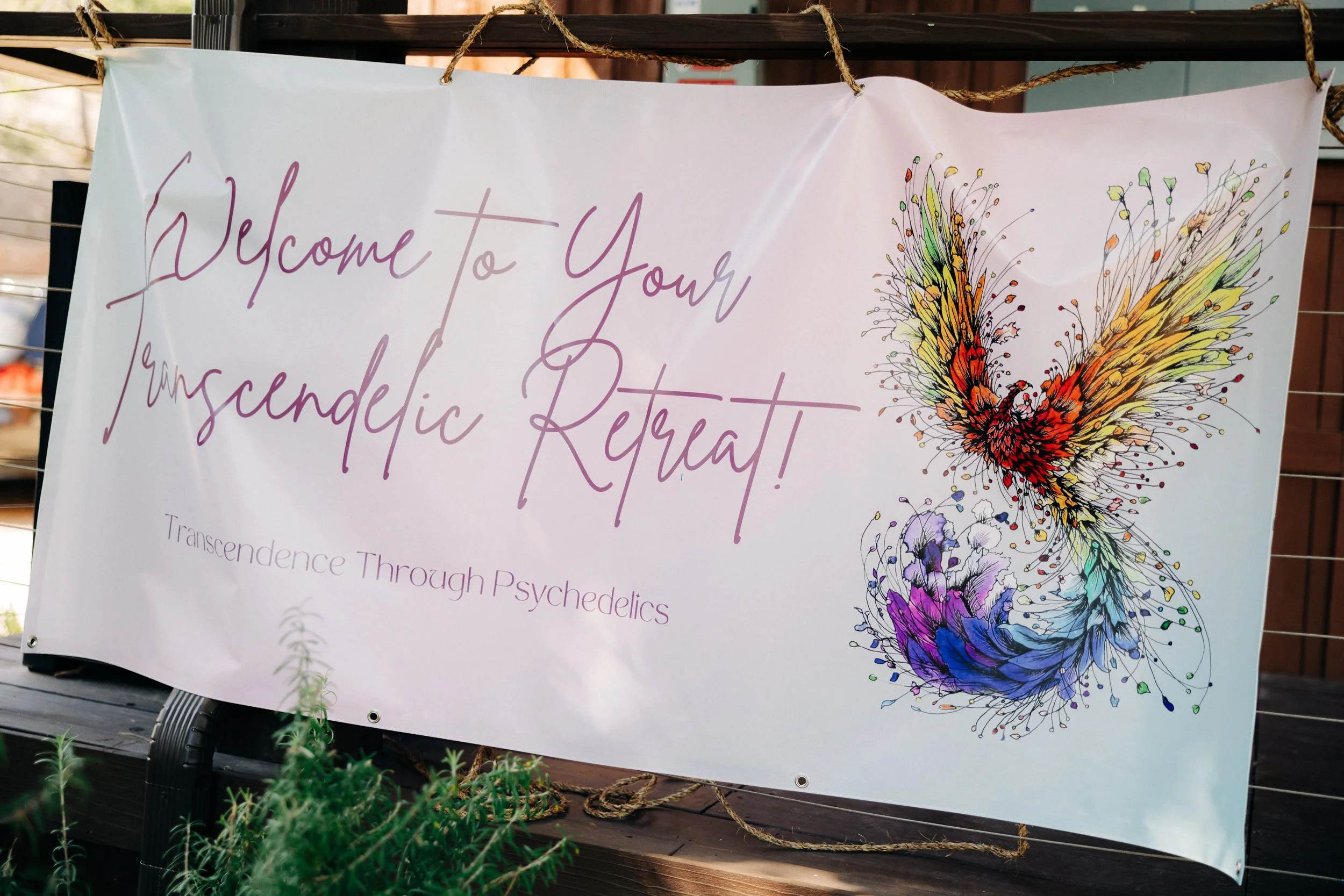 Psychedelic Therapy California, US | Transcendelic Retreats