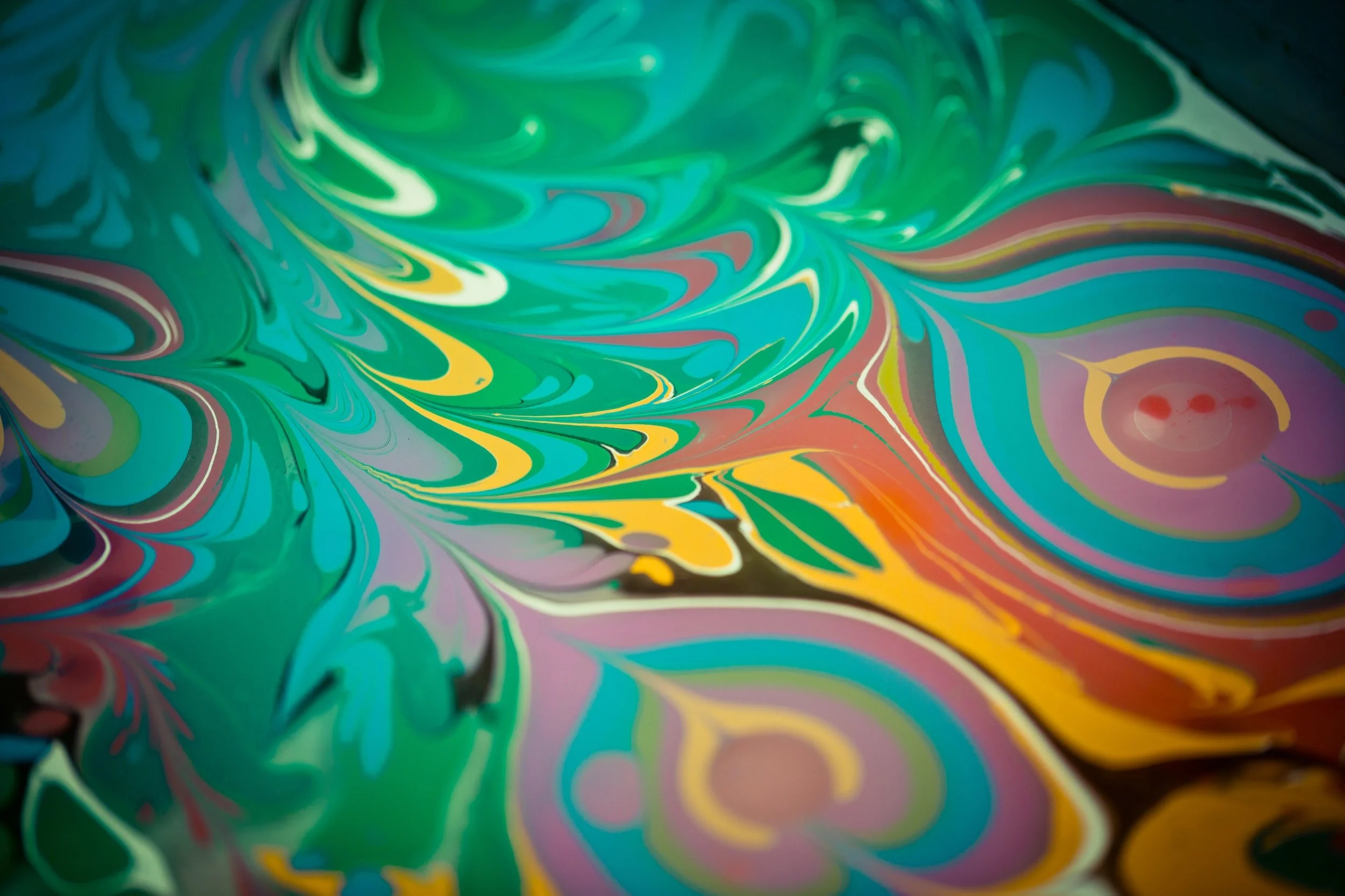 Psychedelic Therapy California, US | Transcendelic Retreats