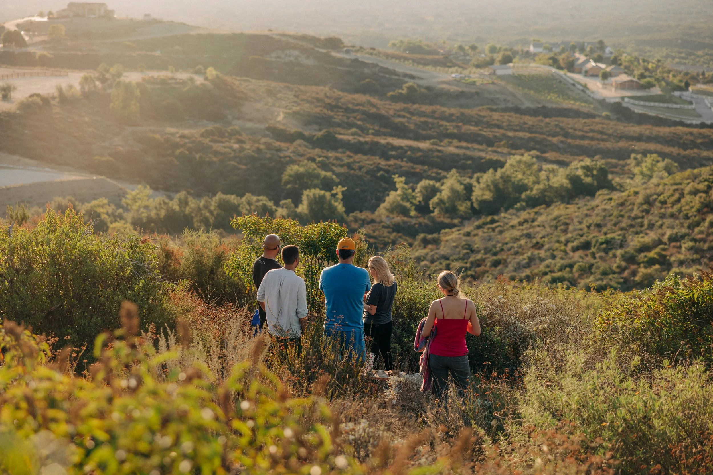 Psychedelic Therapy California, US | Transcendelic Retreats