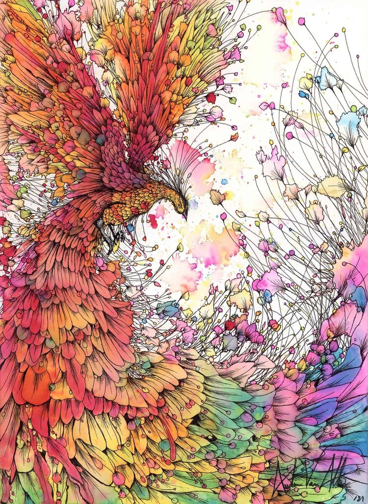 Psychedelic Therapy California, US | Transcendelic Retreats