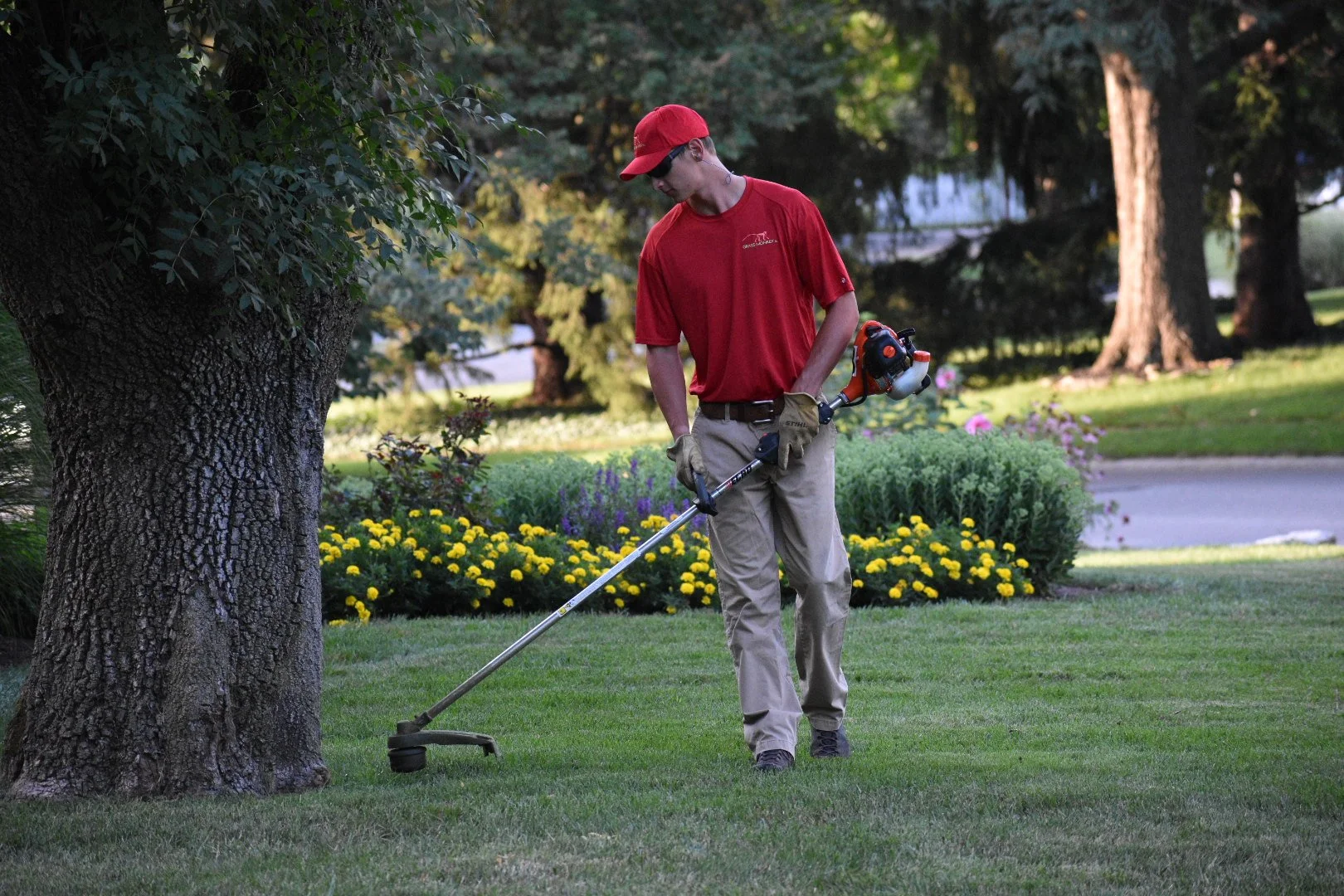 Grass Monkey Lawn Service LLC