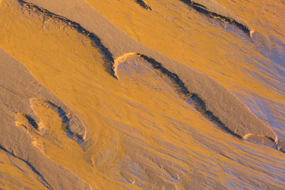 Sunny Point Facility — Alpine Silica