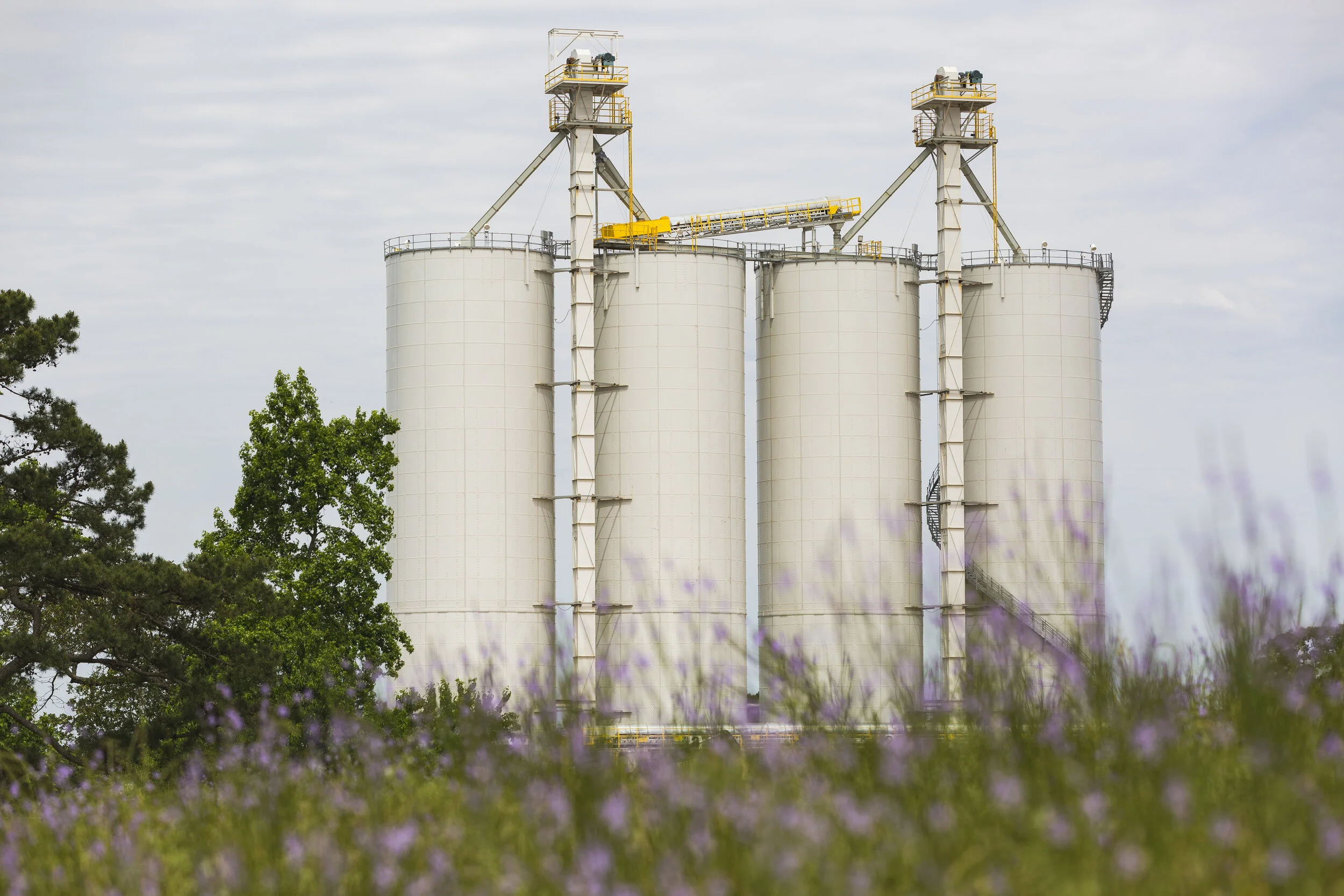 River Ridge Facility — Alpine Silica