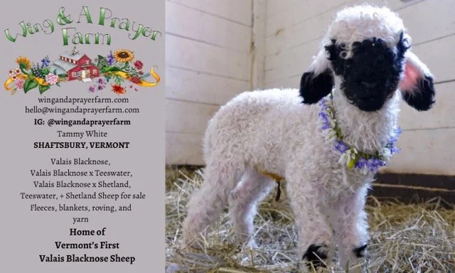 Valais Blacknose Sheep Society