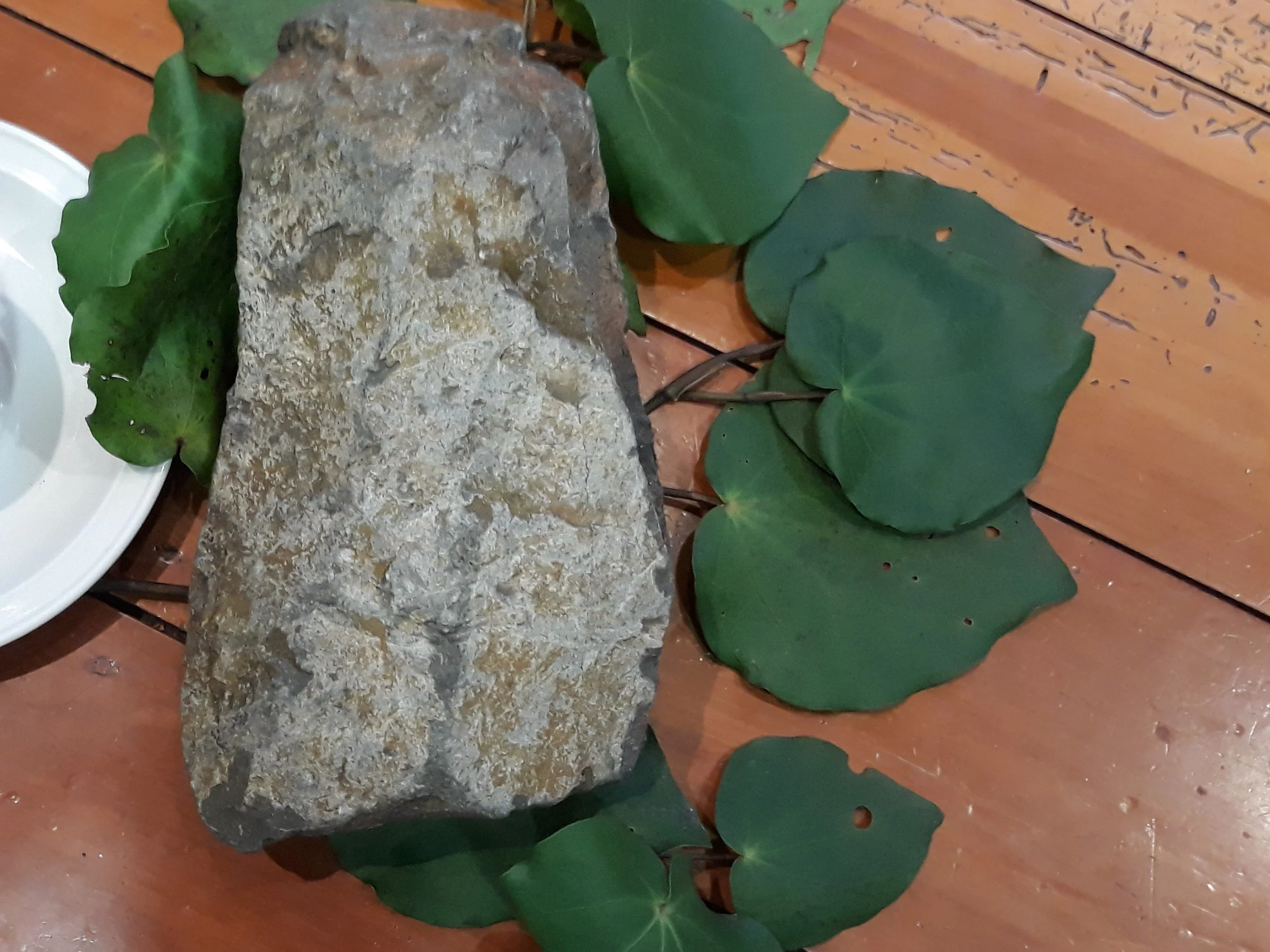 Events — Dance with Kerry-Ann