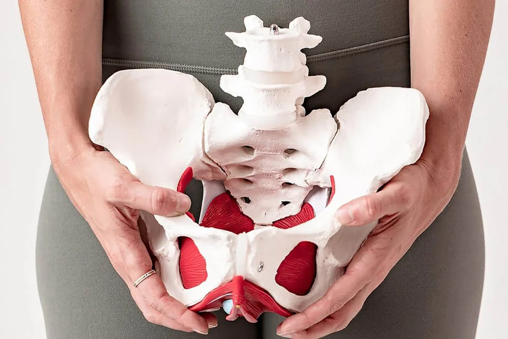 Healthy Pelvis Physical Therapy | Belmont + Los Altos + San Jose