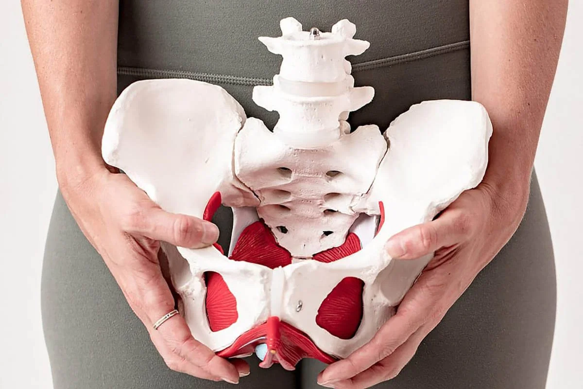 Healthy Pelvis Physical Therapy | Belmont + Los Altos + San Jose