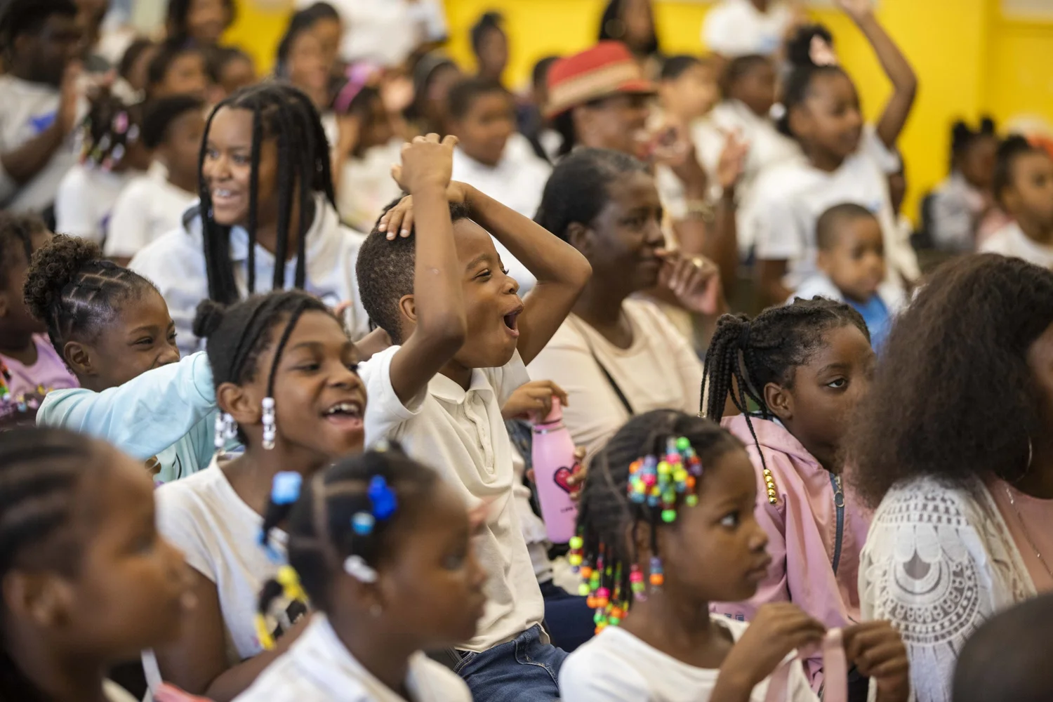 What We Do — IFSI-USA