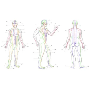 M.E.A.D (Meridian Energy Analysis Device) | Holistic Dental Practice ...