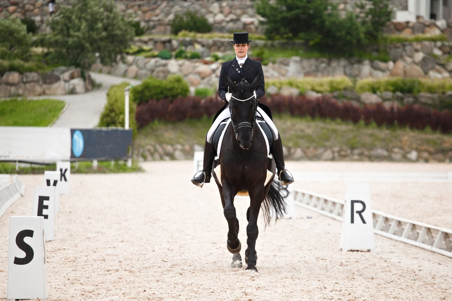 CenterLine Dressage (new)