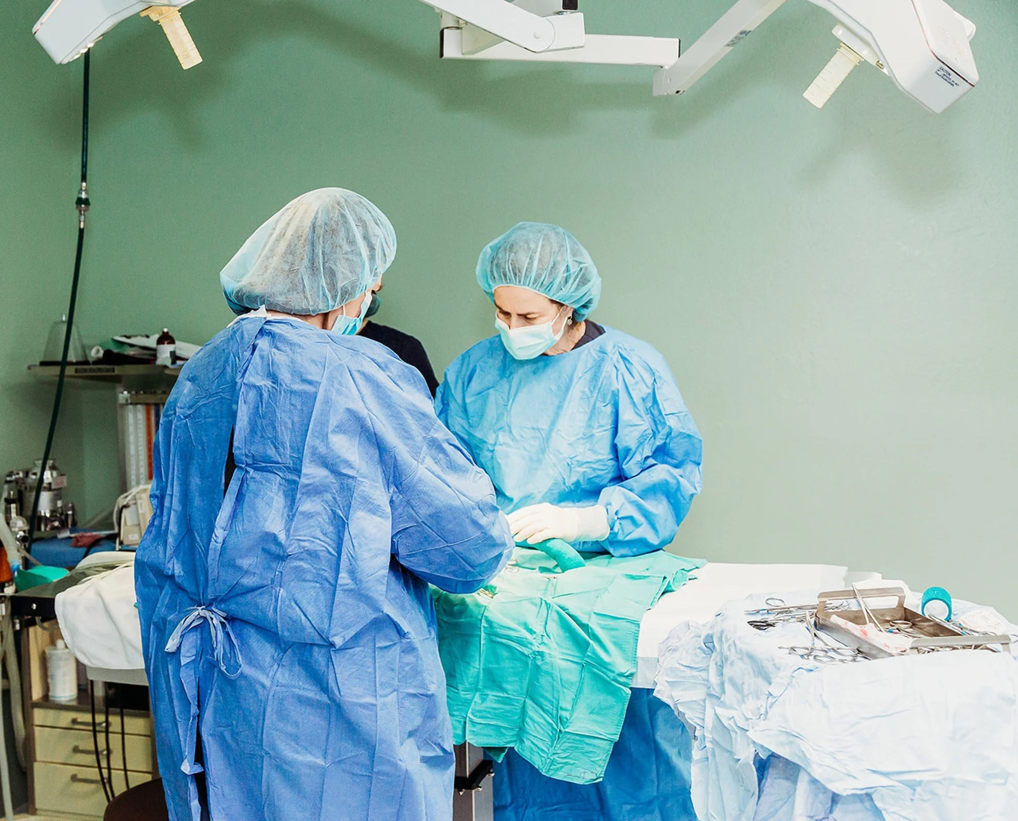 Surgery — Blue Cross Animal Clinic New