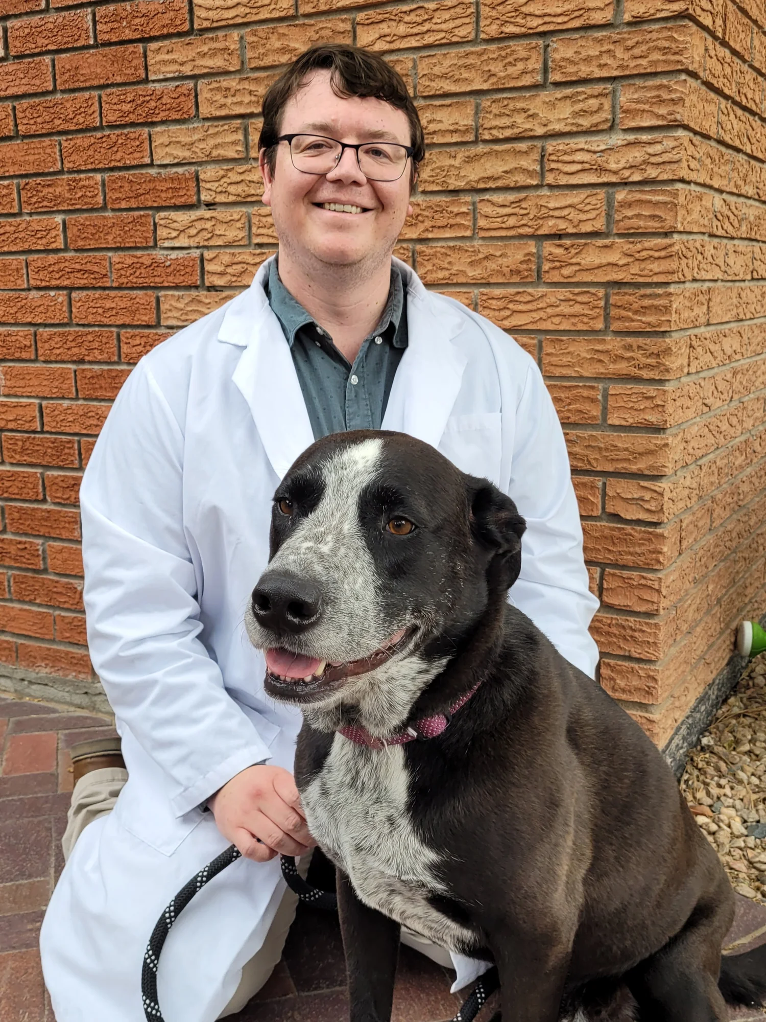 Meet the Team — Blue Cross Animal Clinic