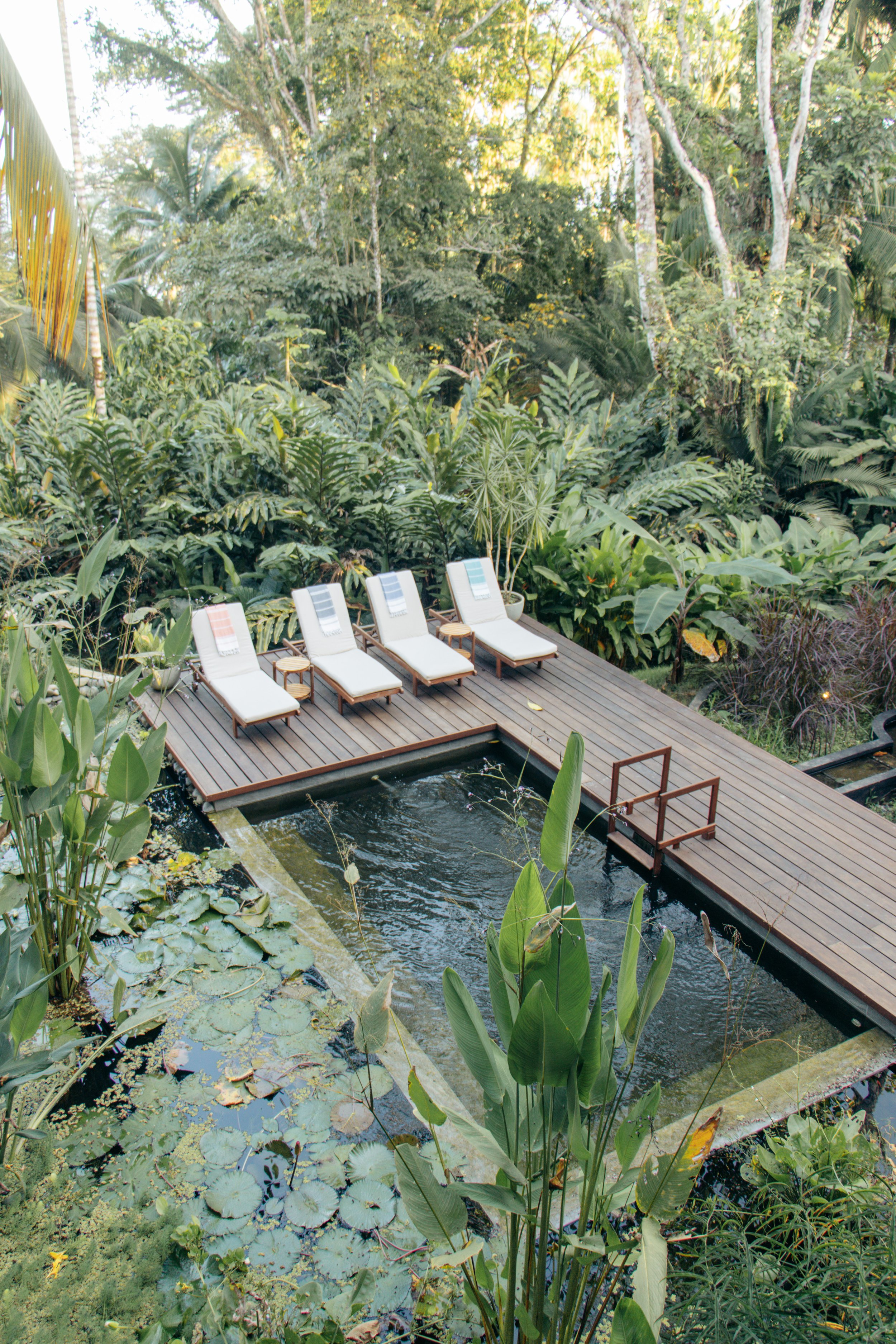 About Casa Botanica Villa and Casitas — Casa Botanica