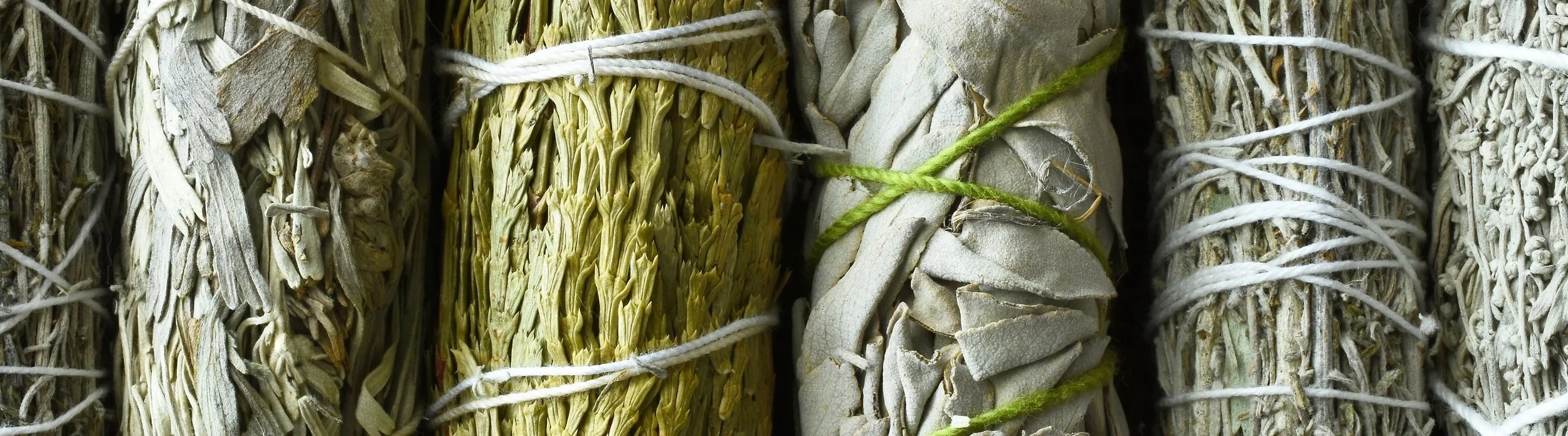 Indigenous Task Force Rio Rancho