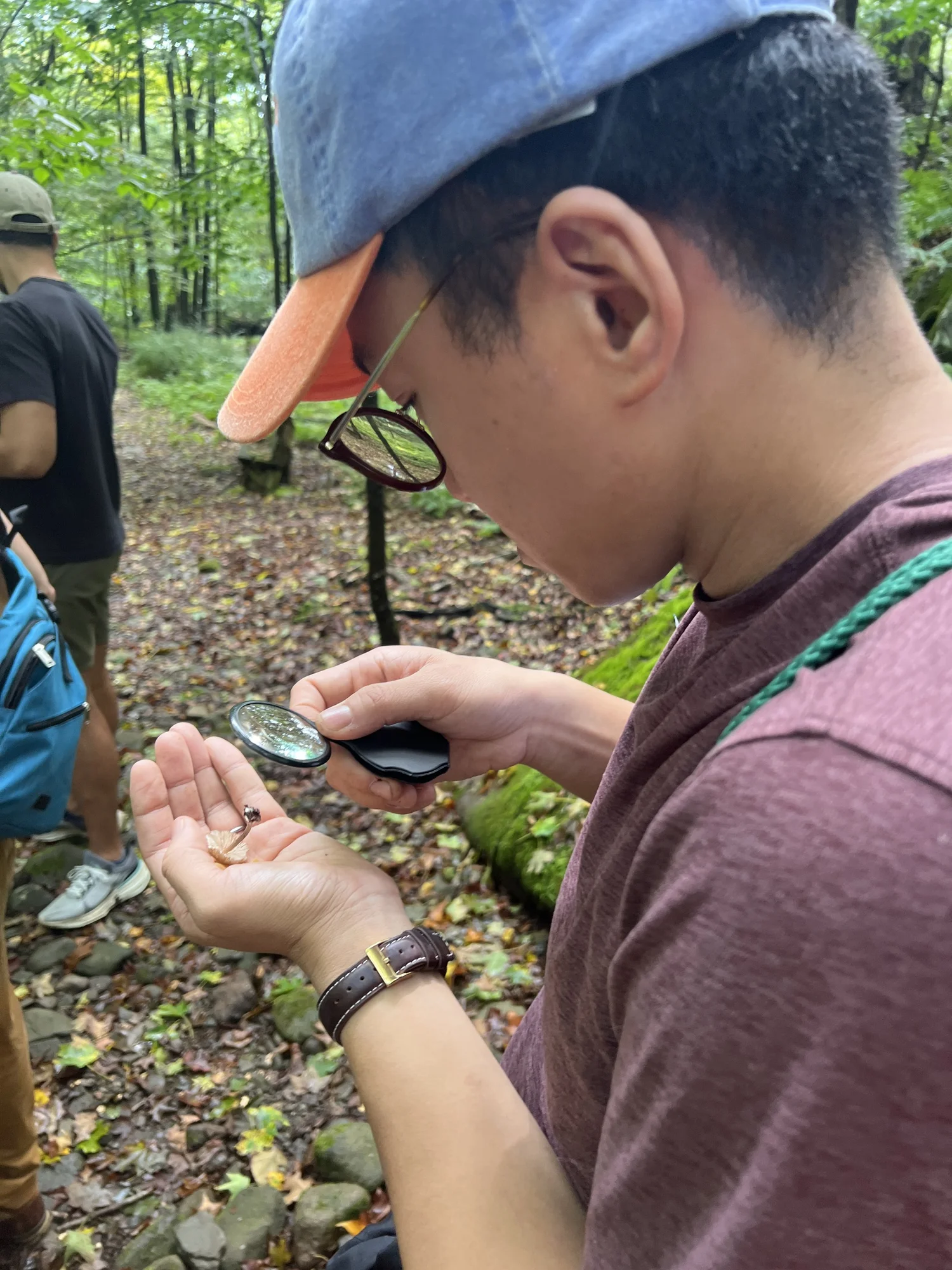 Fungal Collection Protocol — Fungal Diversity Survey