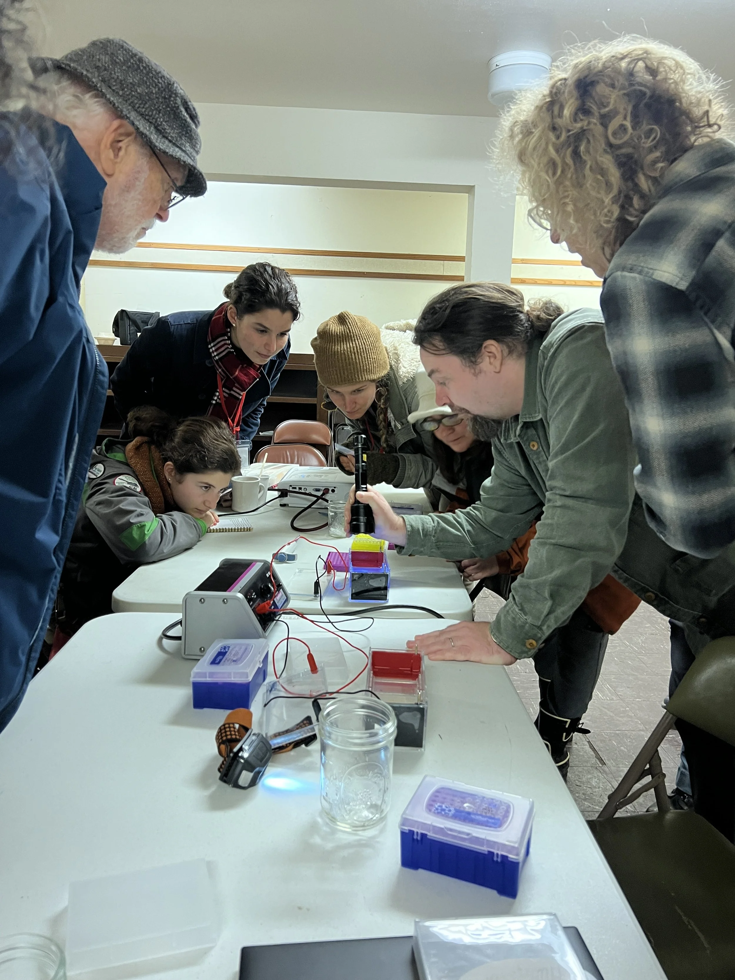 DNA Sequence Validation Corps — Fungal Diversity Survey DNA Sequence Validation Corps — Fungal Diversity Survey