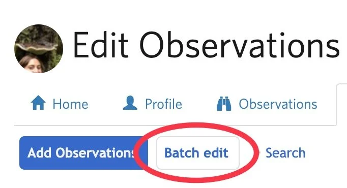 Fungal Diversity Database — Fungal Diversity Survey